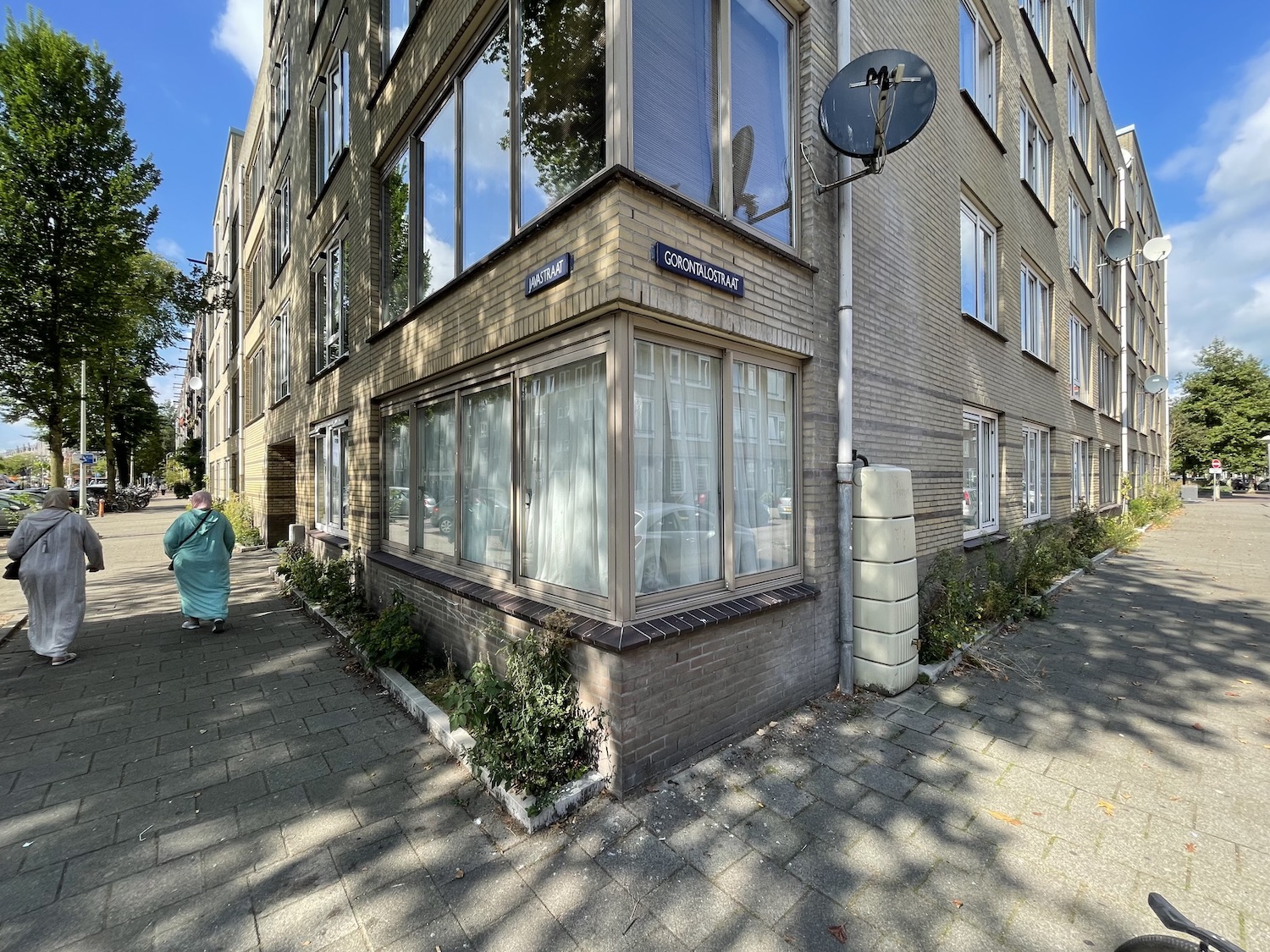 De 1000ste geveltuin 2021 is aangelegd - de Brug - nieuws uit Amsterdam ...