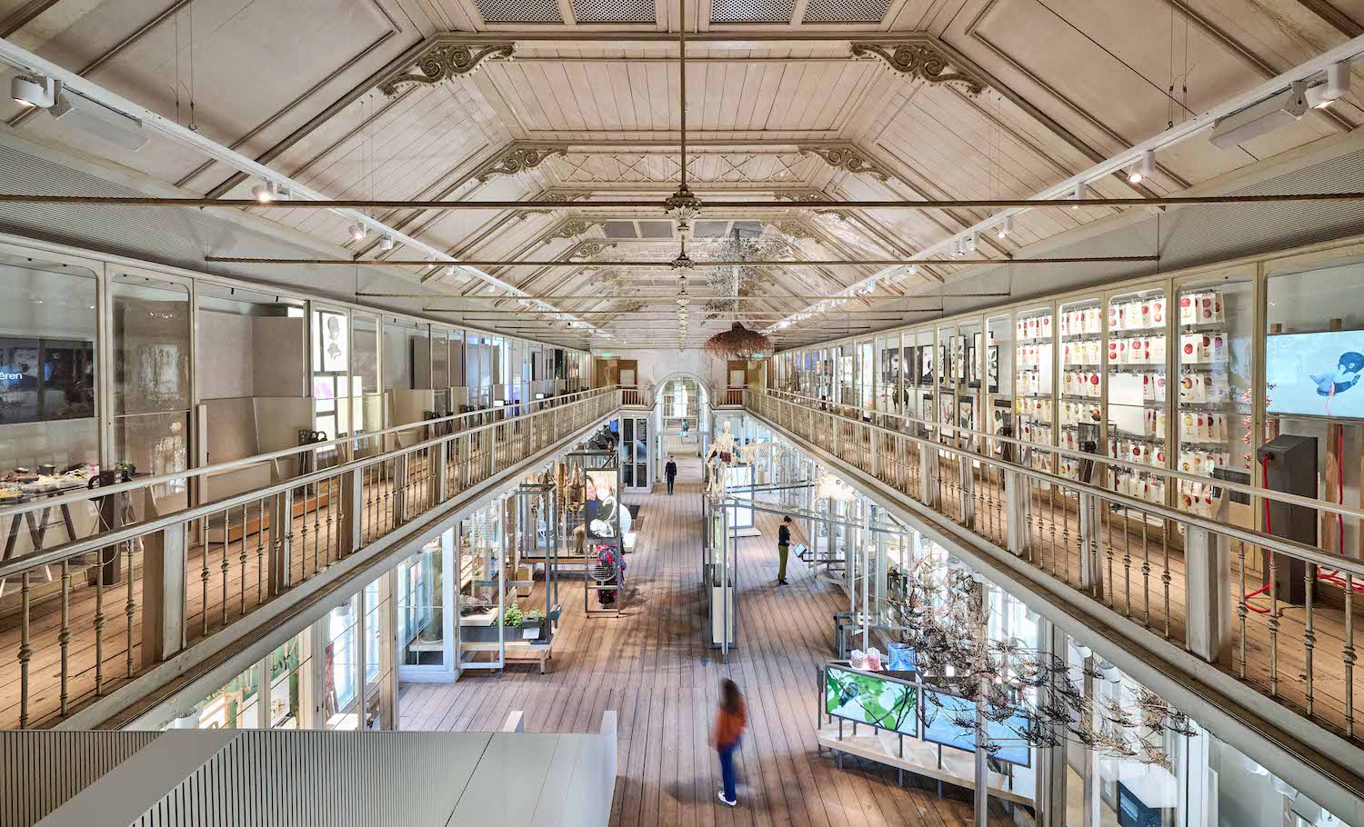 Het Groote Museum verbindt mens en natuur - de Brug - nieuws uit ...